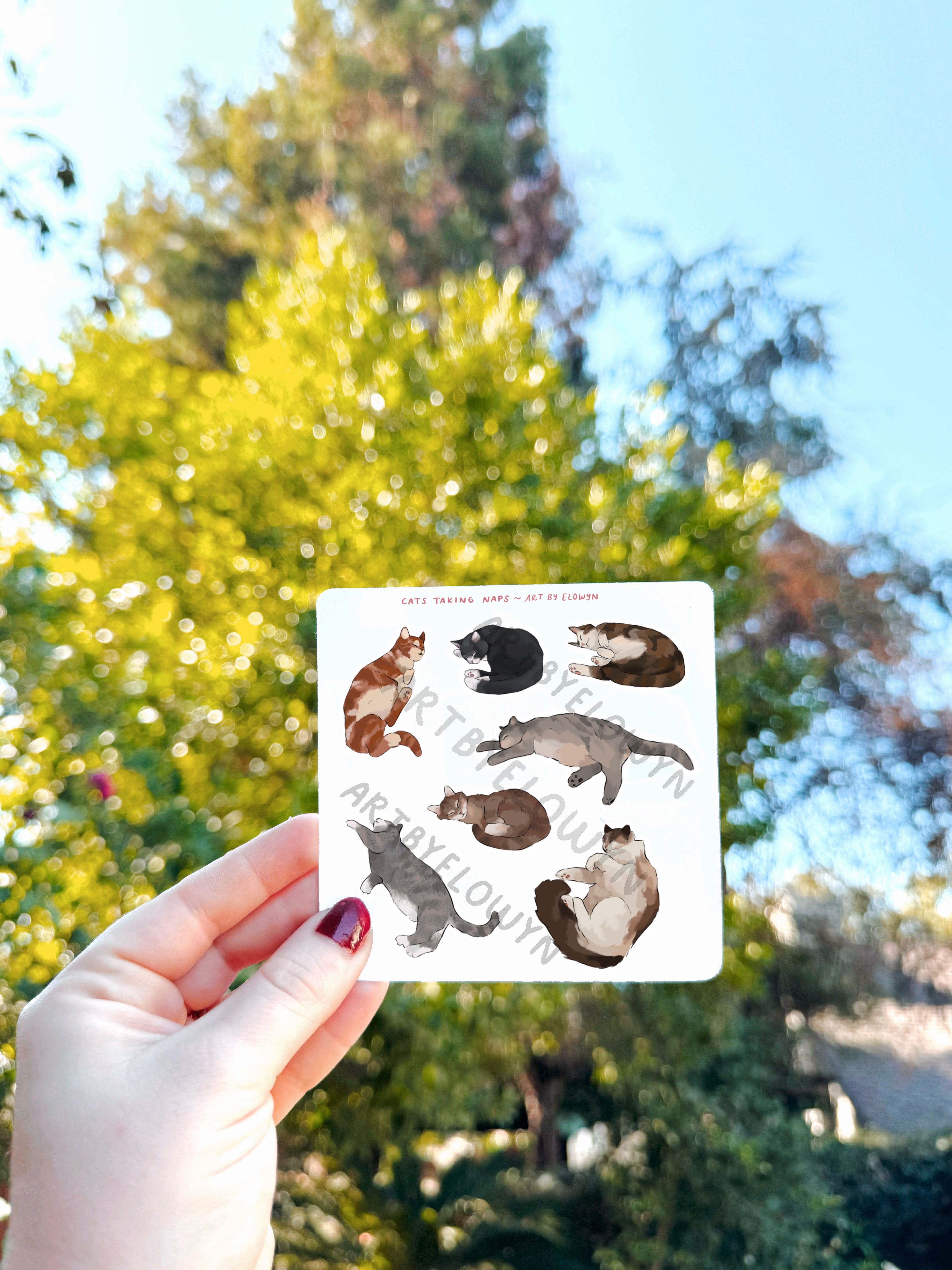 Mini Cats Taking Naps Sheet - 4x4 Sticker Sheet – Art by Elowyn