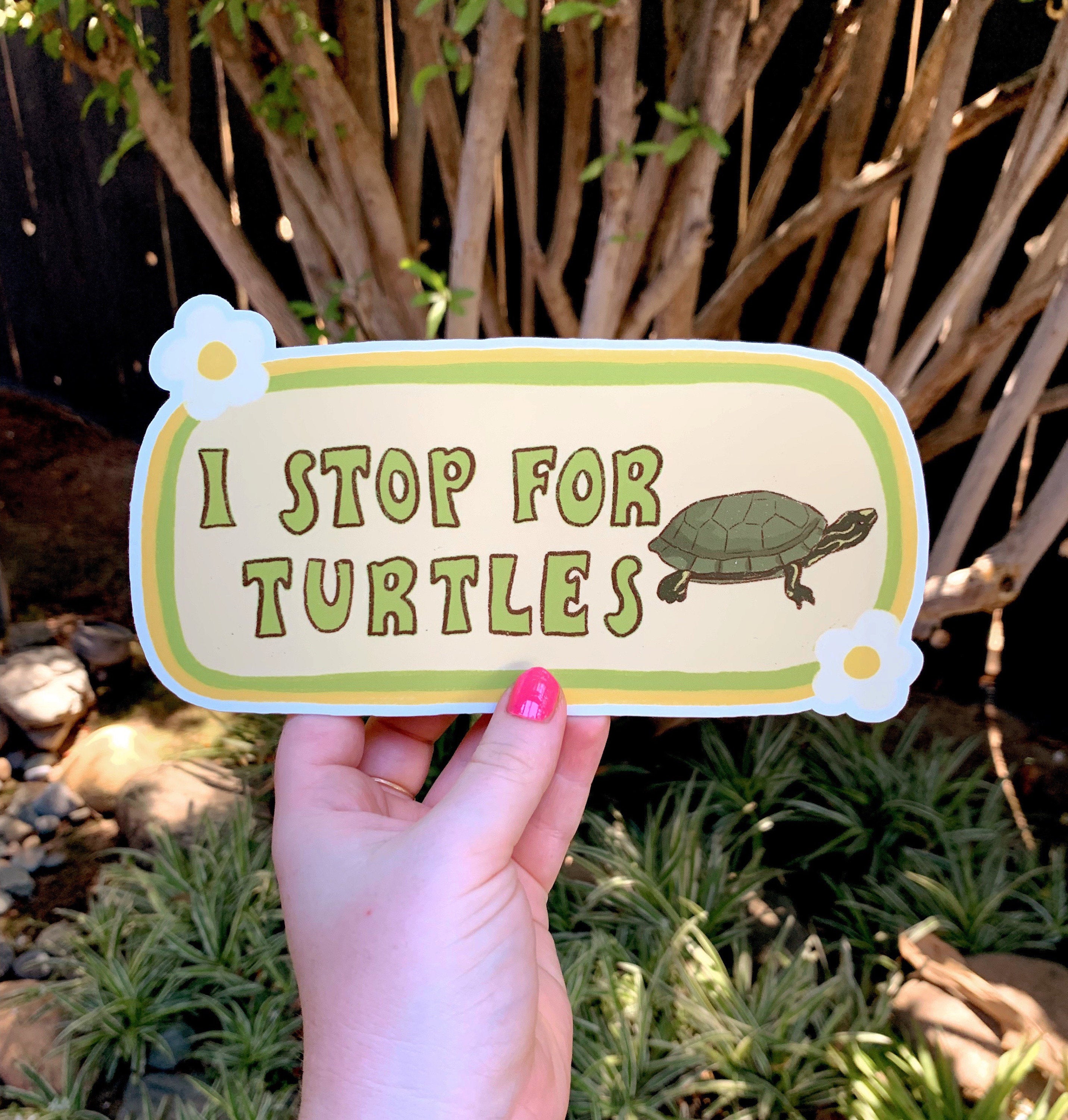 I Stop For Turtles Bumper Sticker – Art by Elowyn