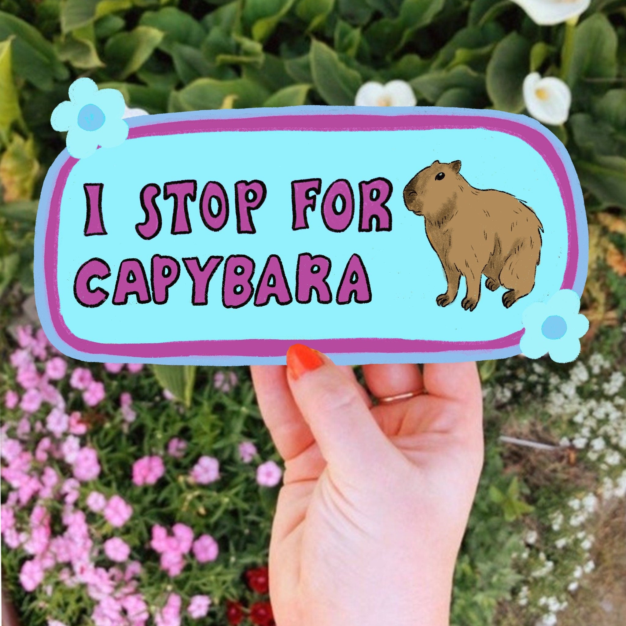 I Stop For Capybara Bumper Sticker – Art by Elowyn