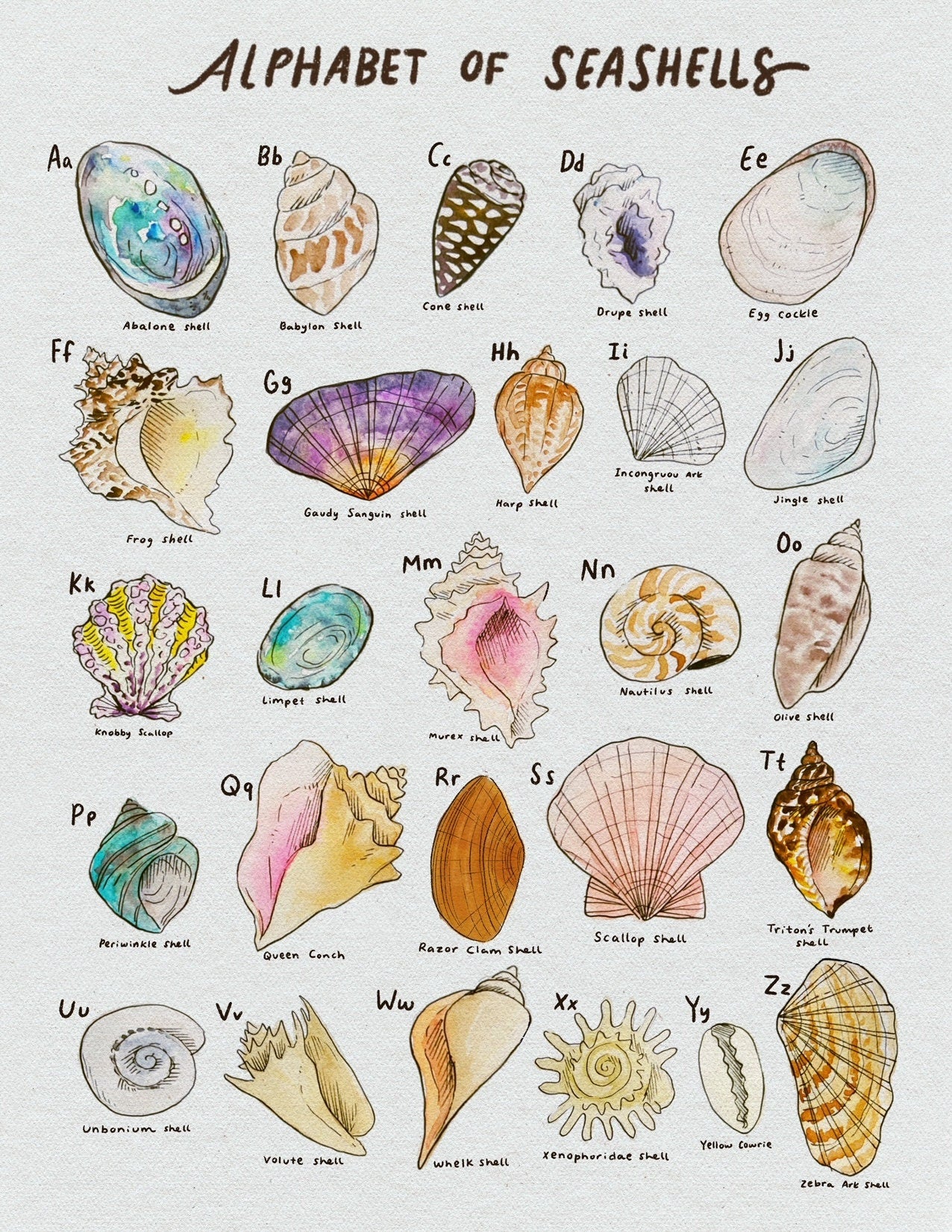 Seashell Alphabet Print | Ocean Fan Art | Seashell Art | Wall Art | Ar ...